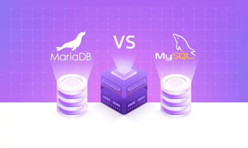 mysql یا MariaDB: بررسی جامع دیتابیس ها